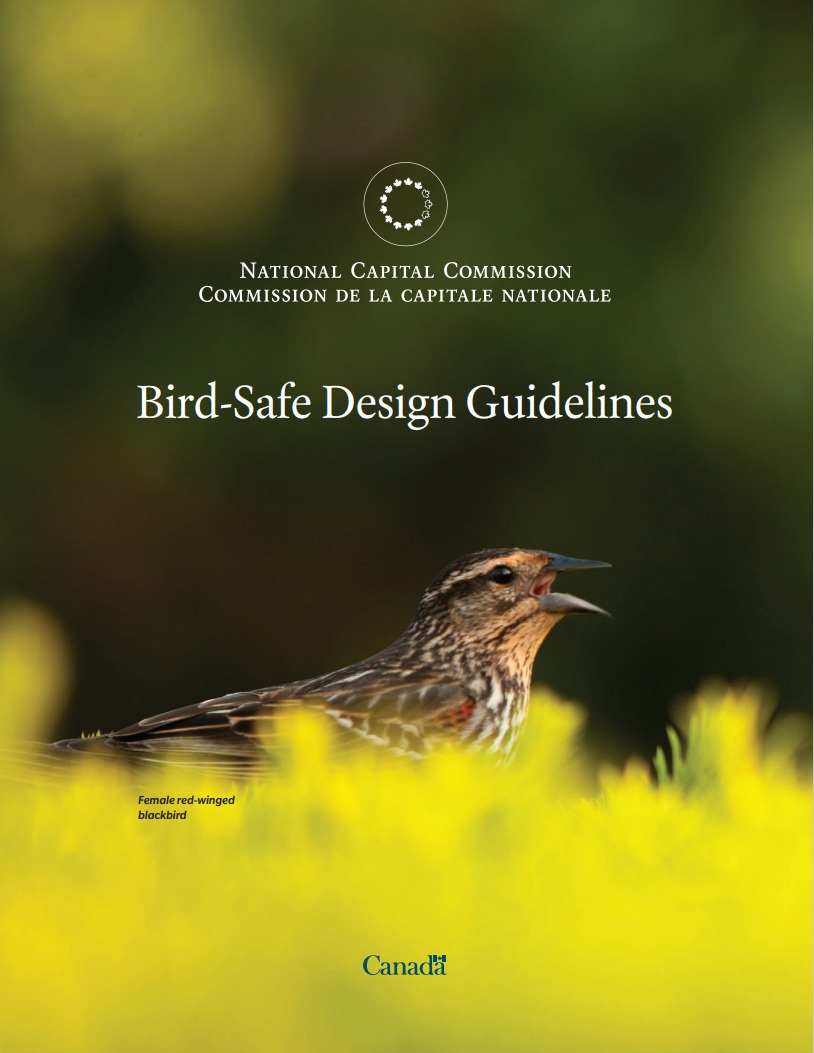 The NCC’s Bird-Safe Design Guidelines | National Capital Commission