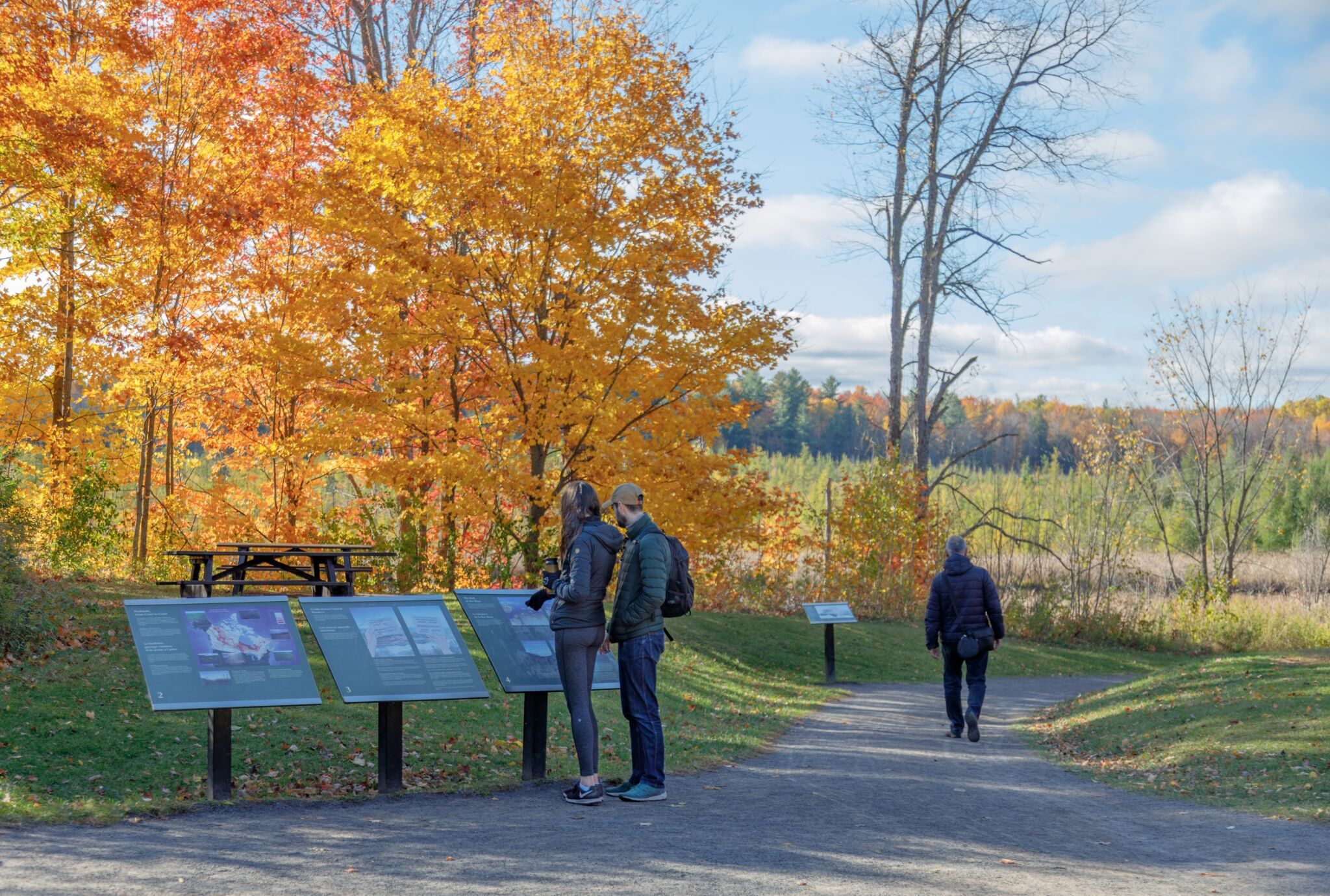 Mer Bleue Bog Trail | National Capital Commission
