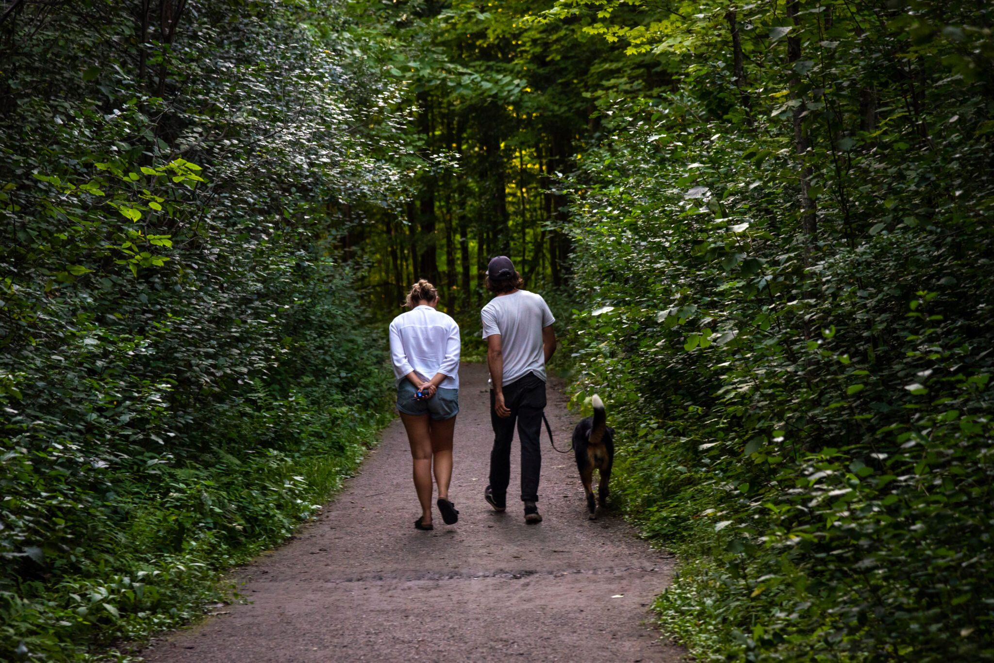 Sugarbush Trail | National Capital Commission