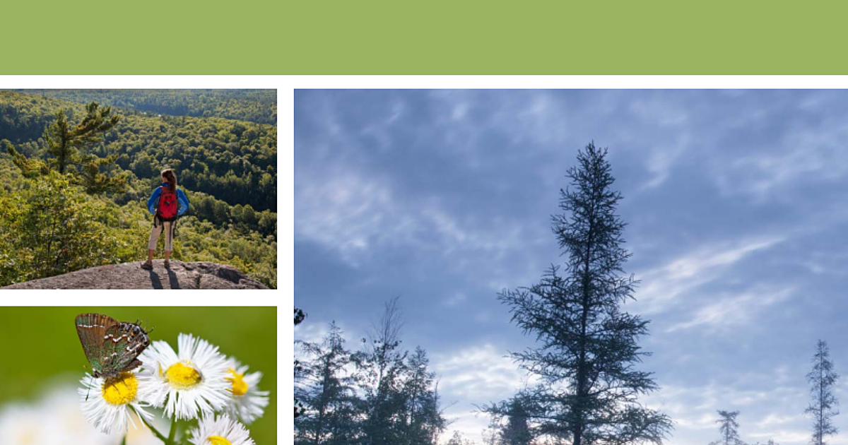 Natural Capital: The Economic Value of… | National Capital Commission