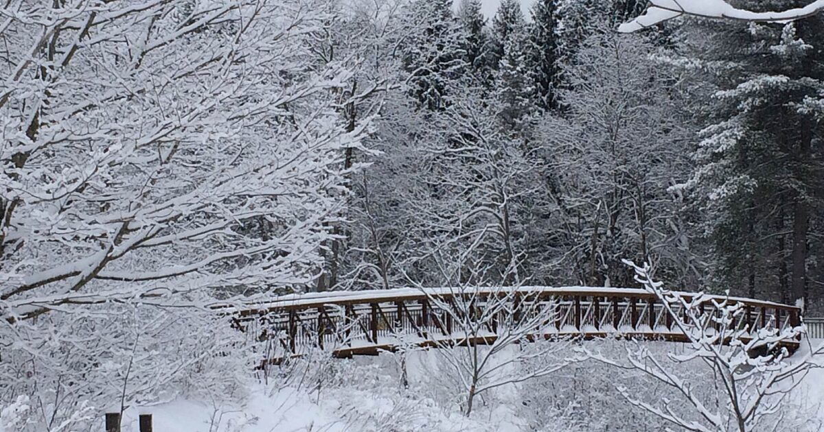 Gatineau Park | National Capital Commission