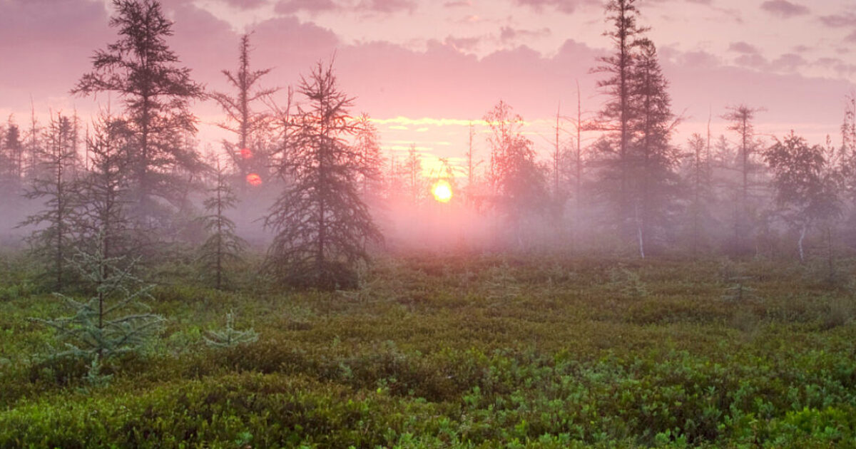 Mer Bleue - National Capital Commission