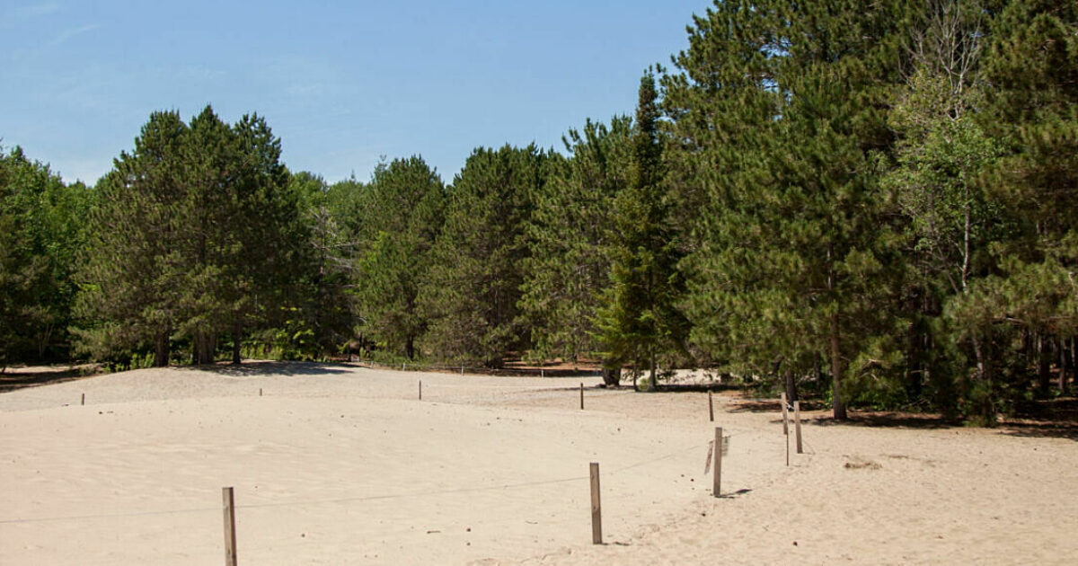 Southern Farm and Pinhey Forest | National Capital Commission