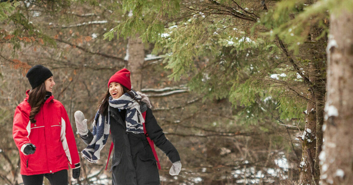 Southern Farm and Pinhey Forest - National Capital Commission