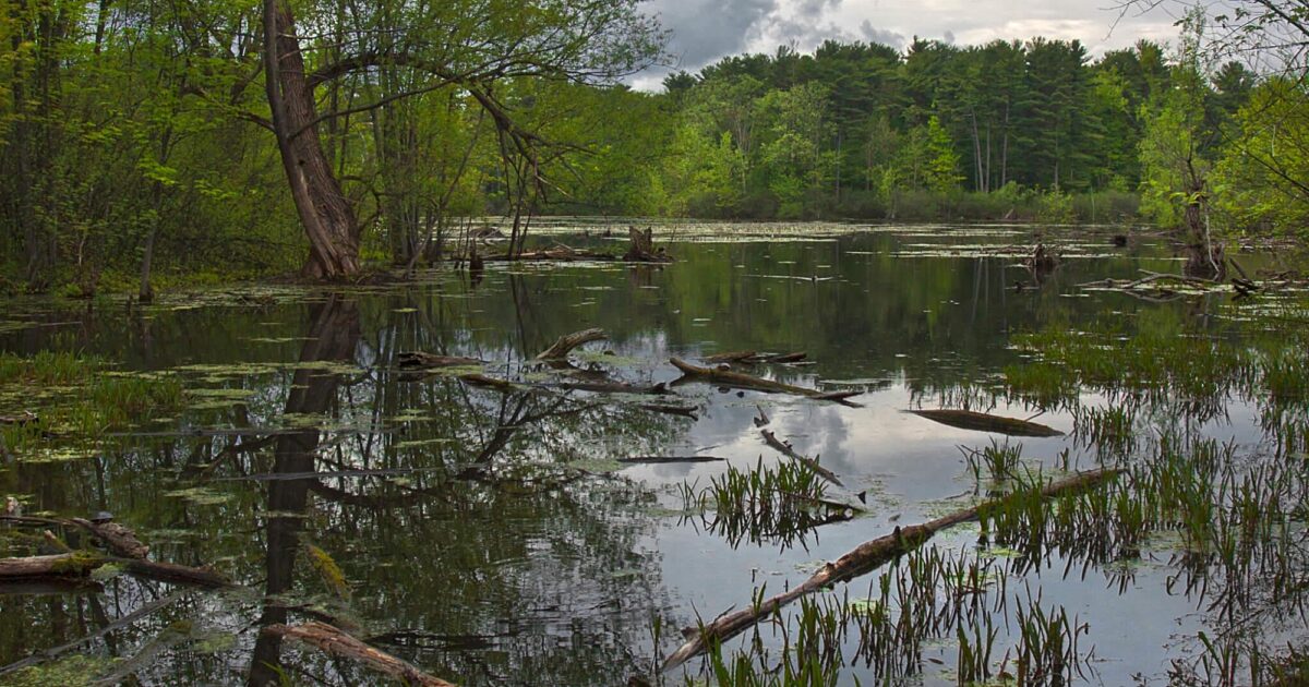 Mud Lake - National Capital Commission