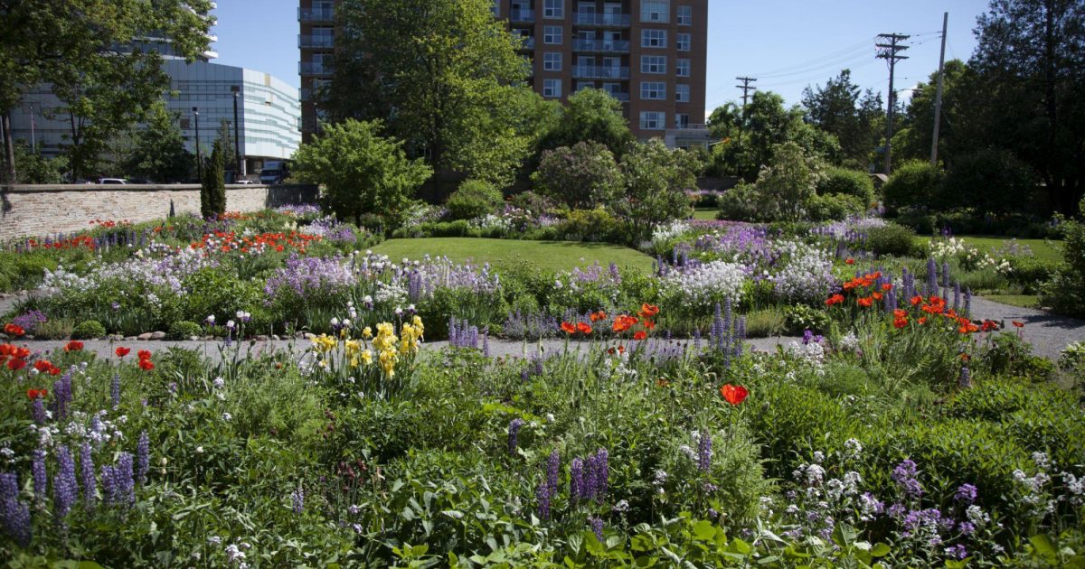 Maplelawn Garden | National Capital Commission