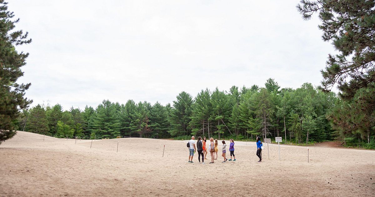 Faire revivre les dunes de la forêt Pinhey - Commission de la capitale ...