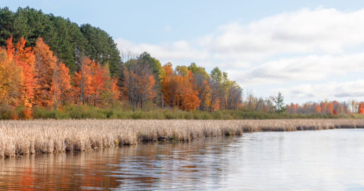 La Mer Bleue - Commission de la capitale nationale