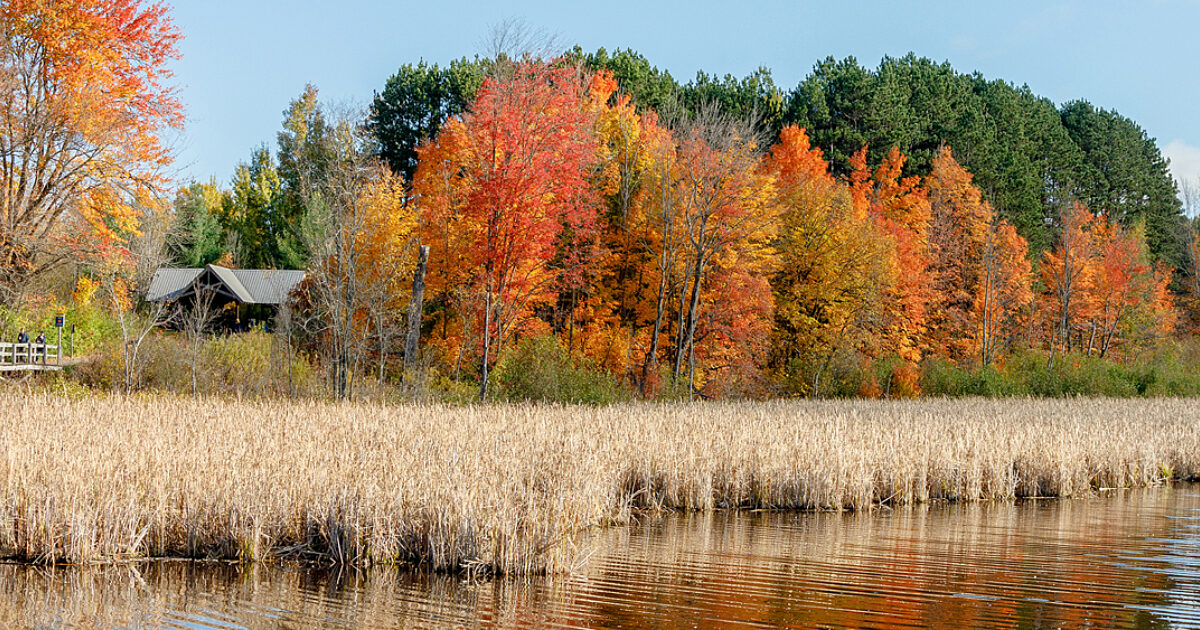 Mer Bleue - National Capital Commission