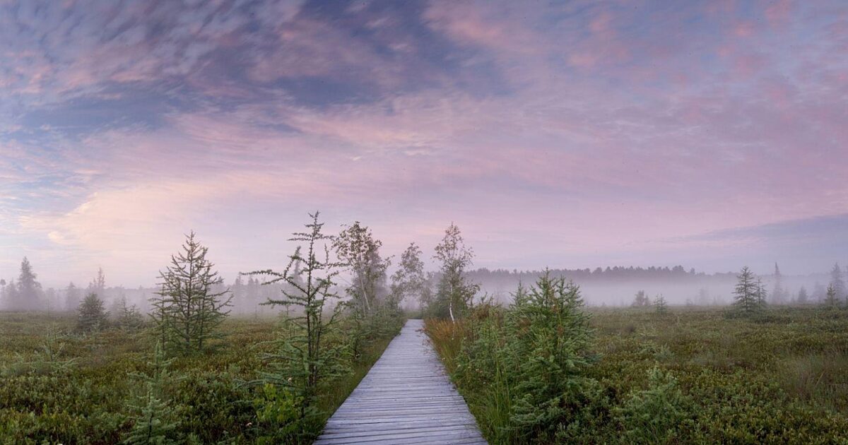 Greenbelt - National Capital Commission