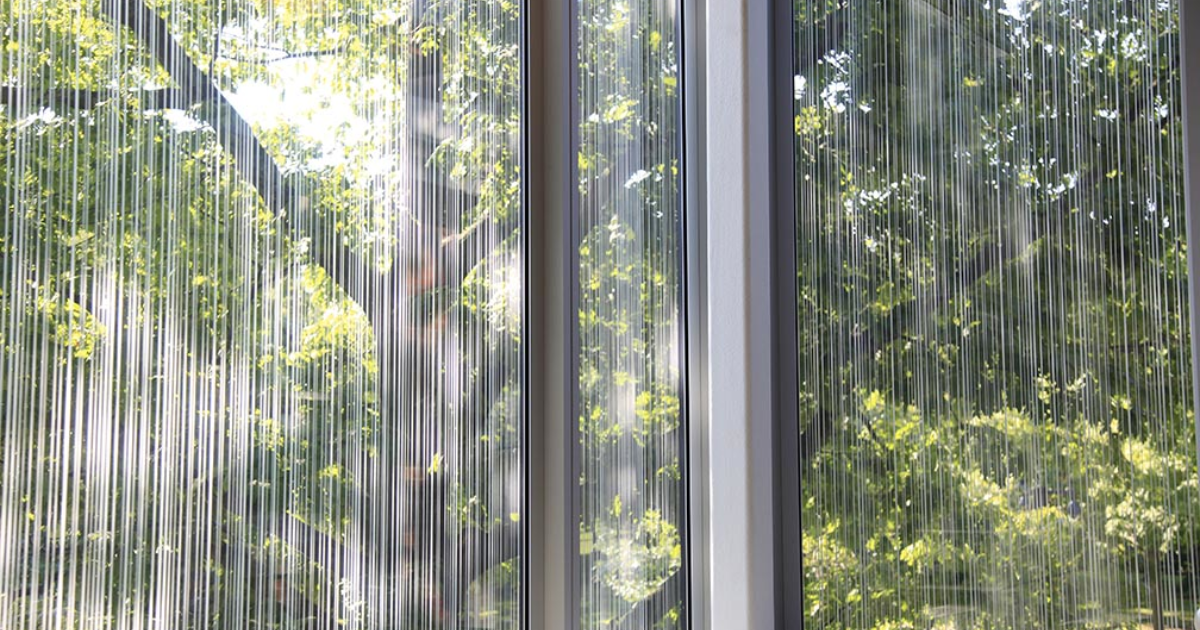 The NCC’s Bird-Safe Design Guidelines | National Capital Commission