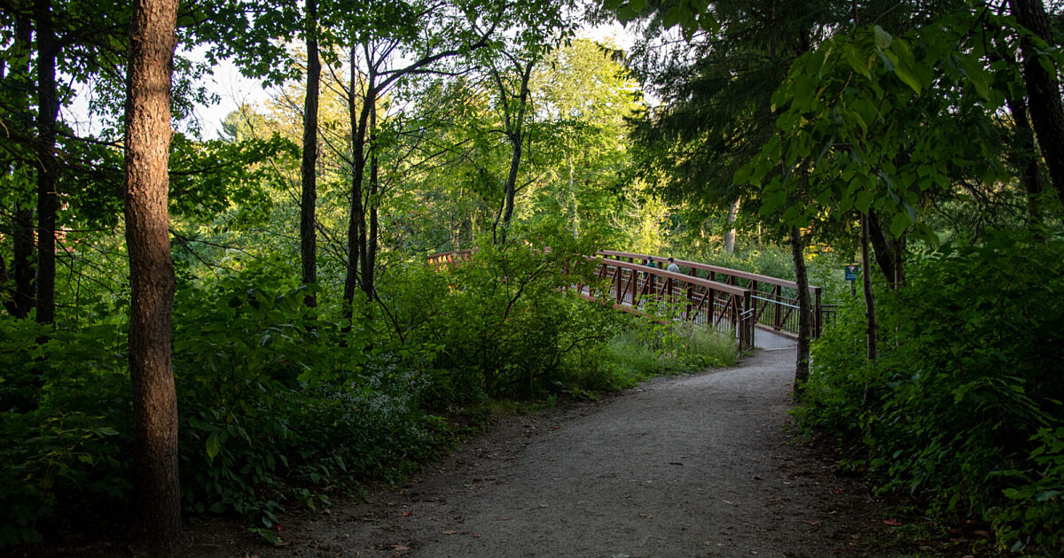 Sugarbush Trail | National Capital Commission