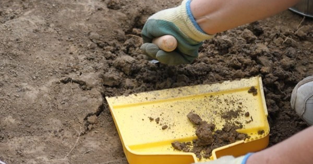 Public Archaeological Digs | National Capital Commission