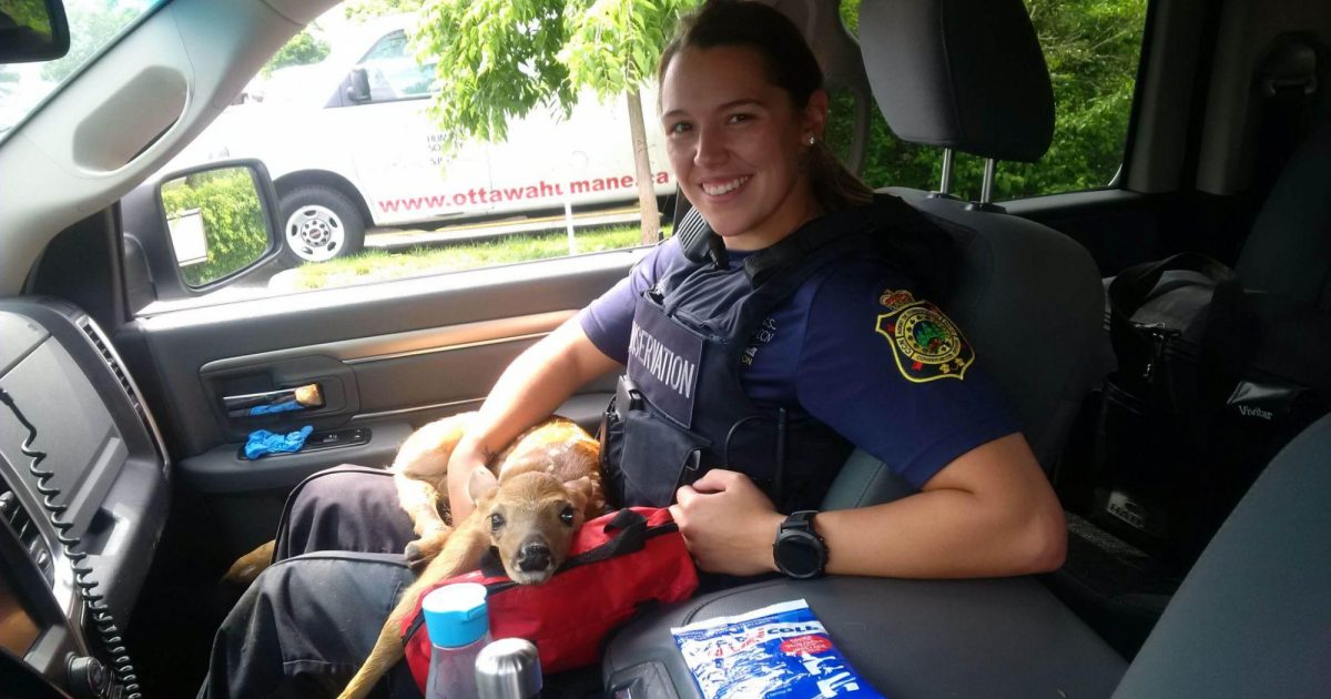 Conservation Officers to the Rescue - National Capital Commission